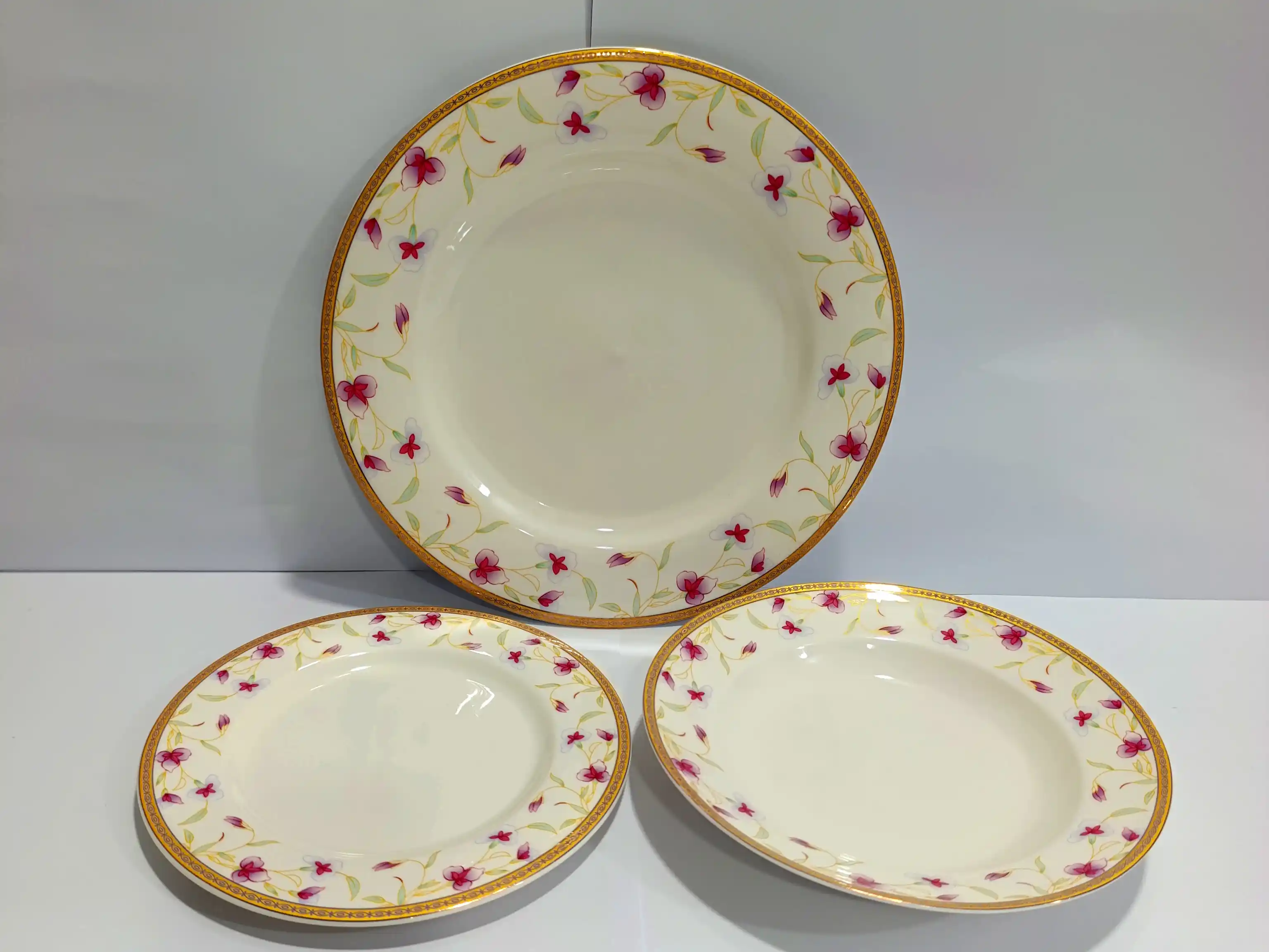 Ceramic Plate Set(18-Pcs) Bon China | Plates And Dishes